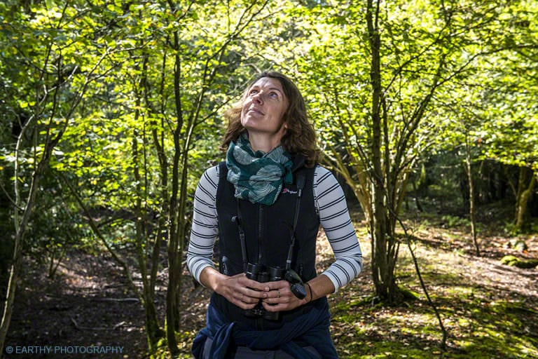 Knepp Wildland Project | Kneep Safaris on the Knepp Castle estate